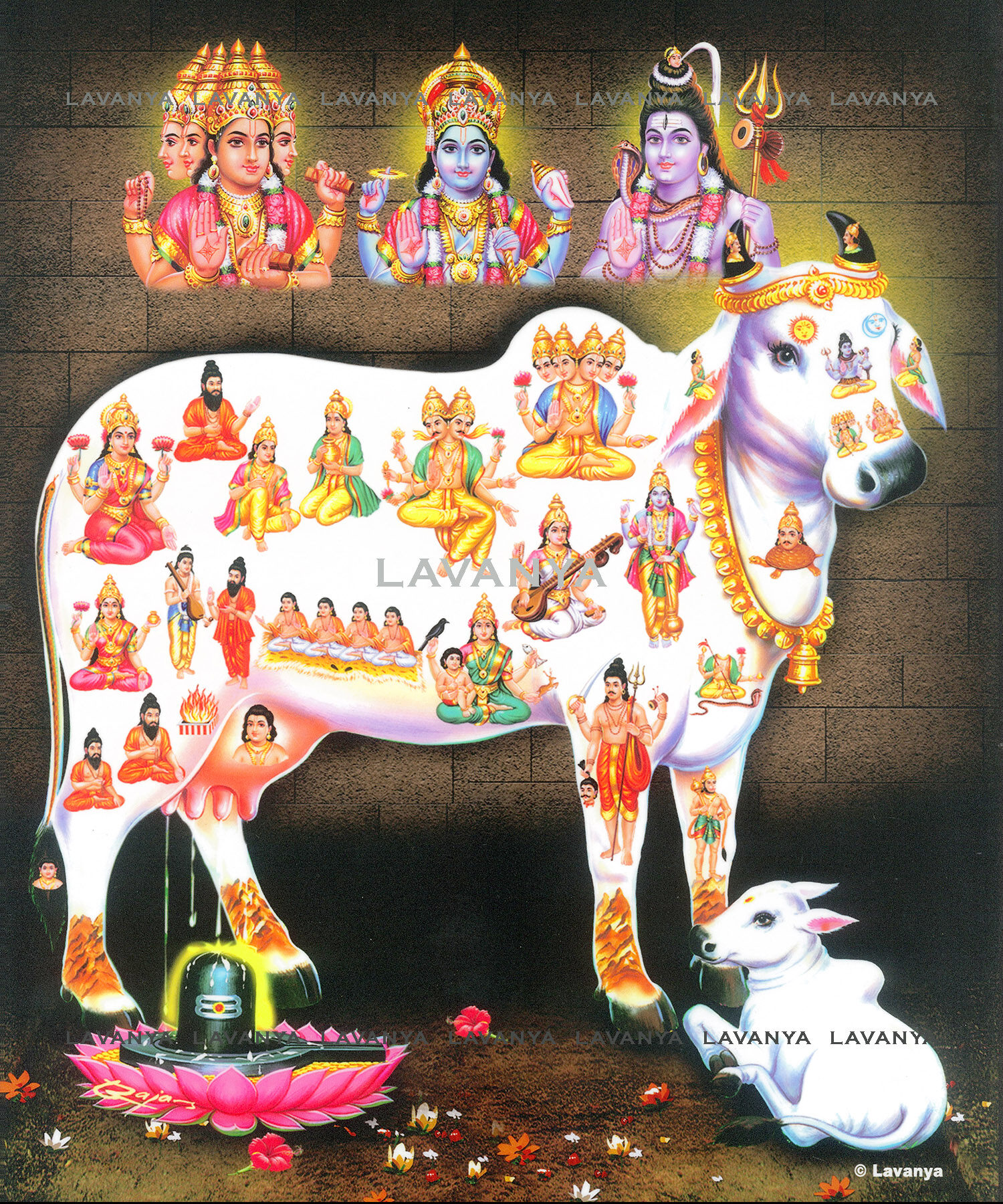 Gomatha Wallpapers - Wallpaper Cave