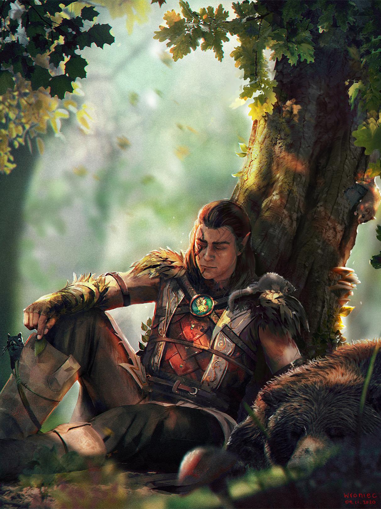 Halsin Wallpapers - Wallpaper Cave