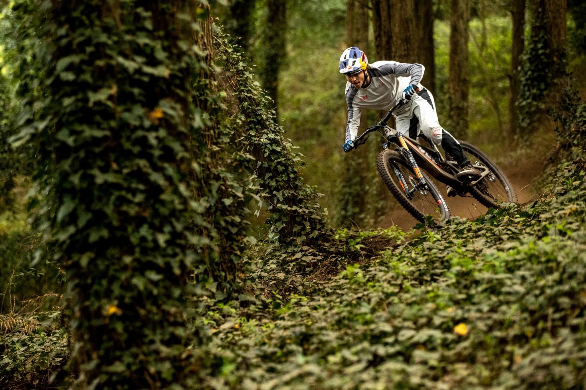 Jackson Goldstone Wallpapers - Wallpaper Cave