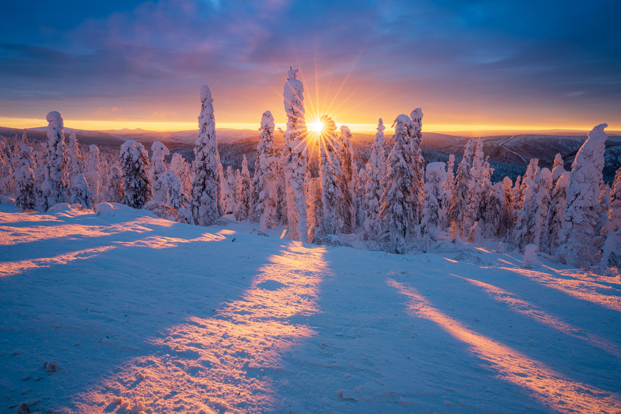 Alaska Winter Forest Wallpapers - Wallpaper Cave