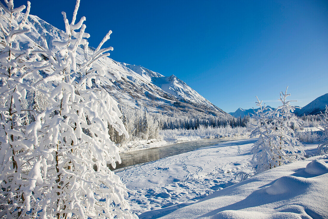 Alaska Winter Forest Wallpapers - Wallpaper Cave