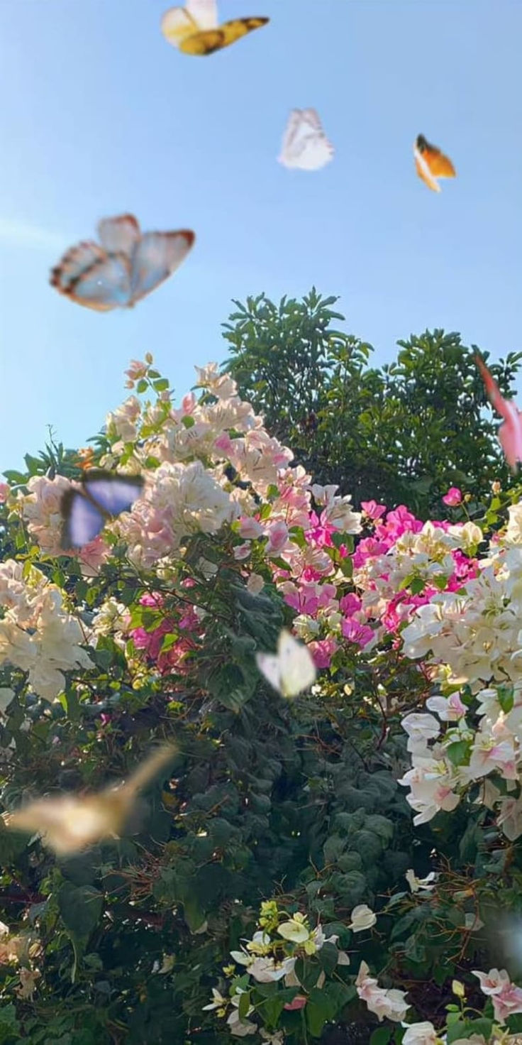 Spring 2024 Wallpapers - Wallpaper Cave