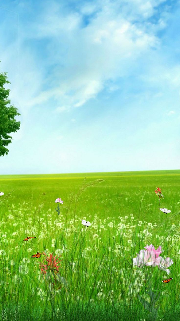 Spring 2024 Wallpapers - Wallpaper Cave