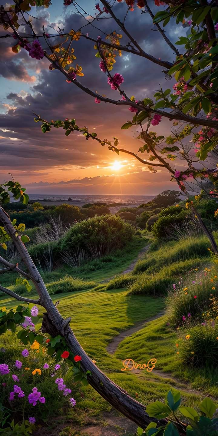 Spring 2024 Wallpapers - Wallpaper Cave