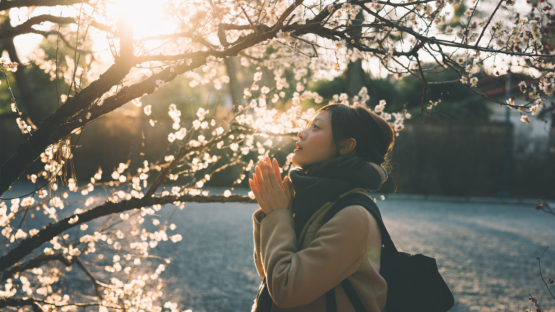 Spring 2024 Wallpapers - Wallpaper Cave