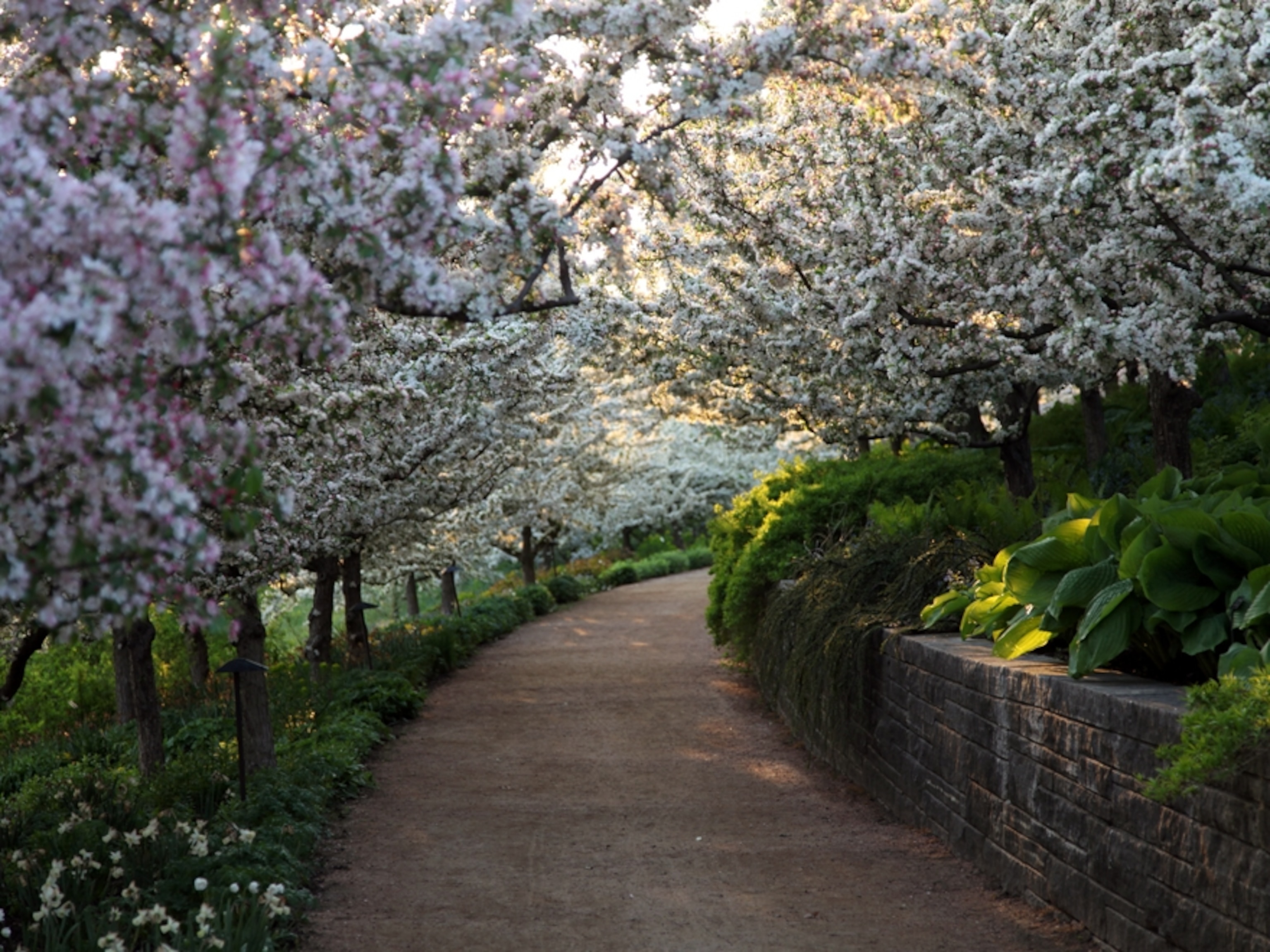 Spring 2024 Wallpapers - Wallpaper Cave