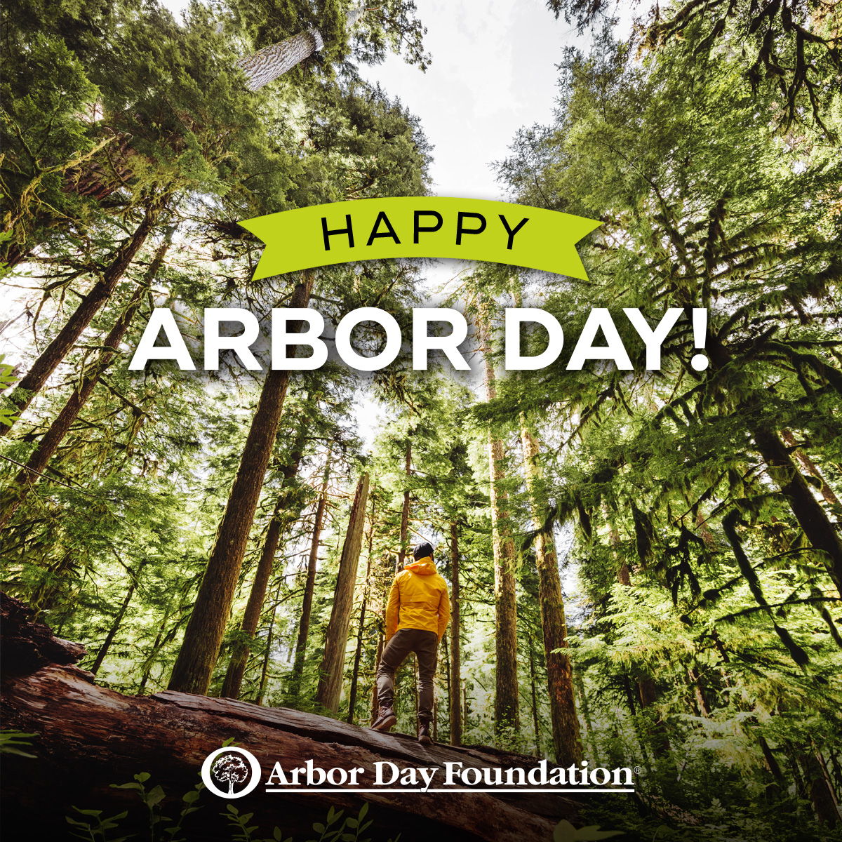 Arbor Day Wallpapers - Wallpaper Cave
