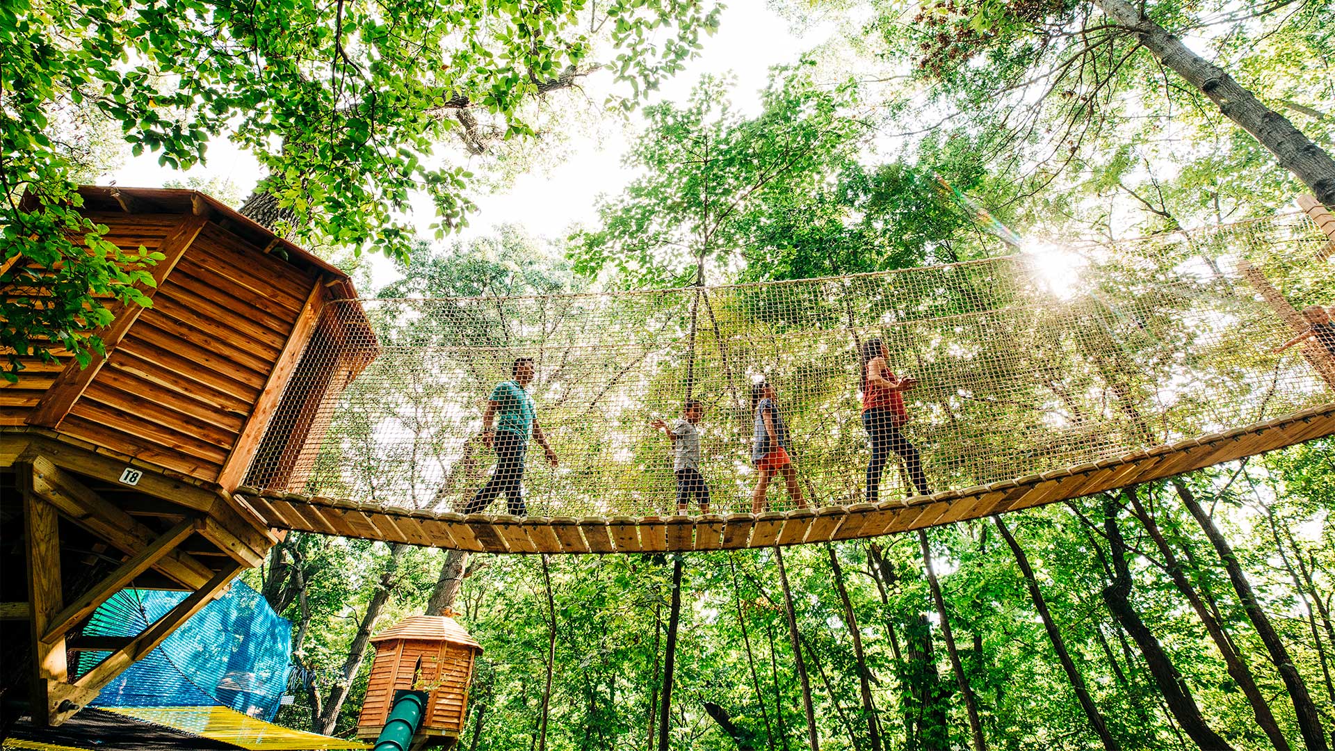 Arbor Day Wallpapers - Wallpaper Cave