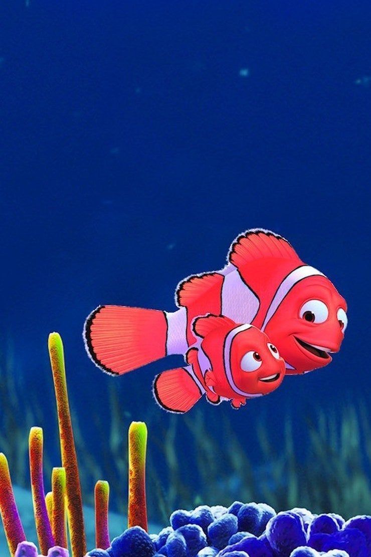 Finding Nemo Iphone Wallpaper