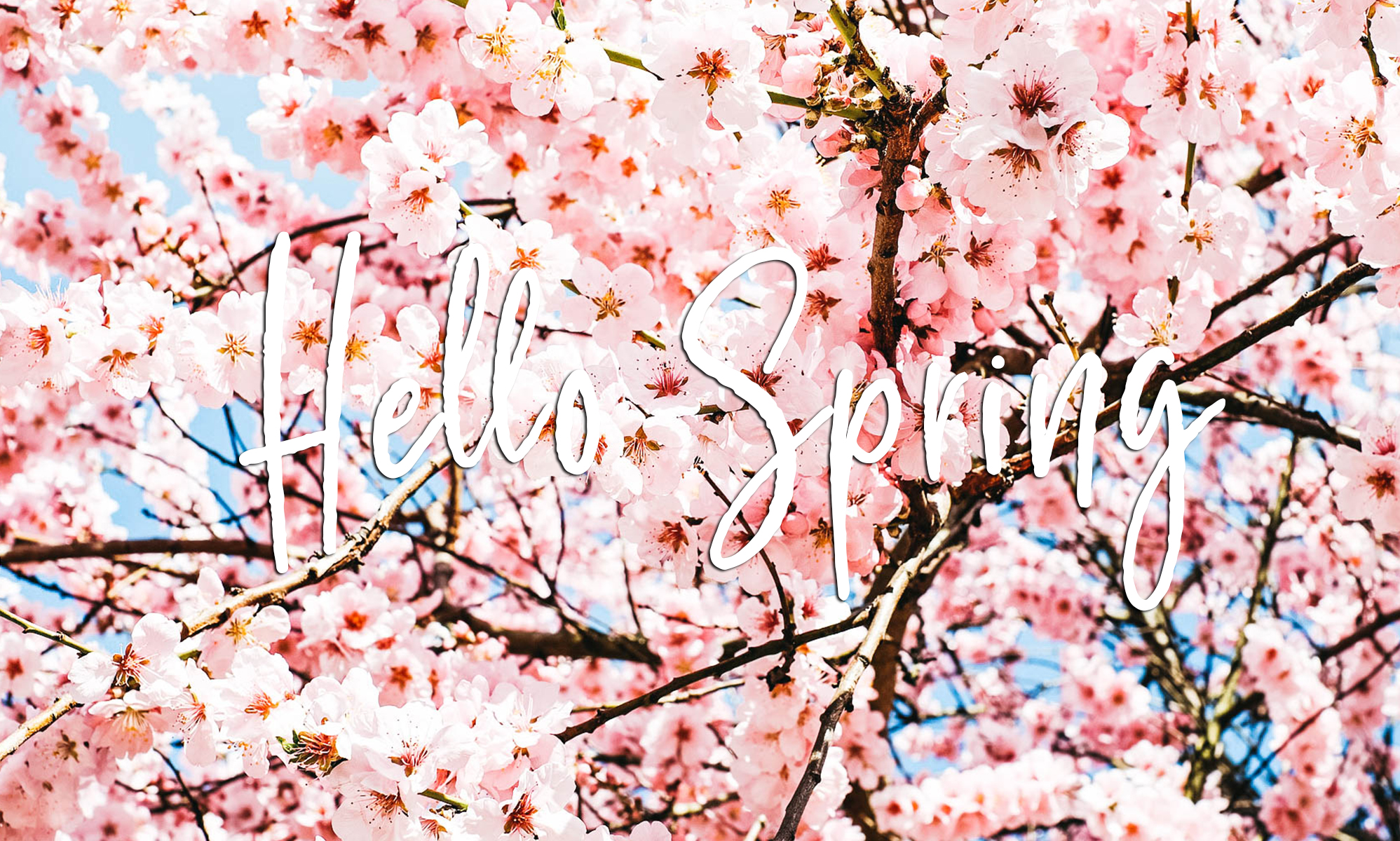 Hello Spring PC Wallpapers - Wallpaper Cave