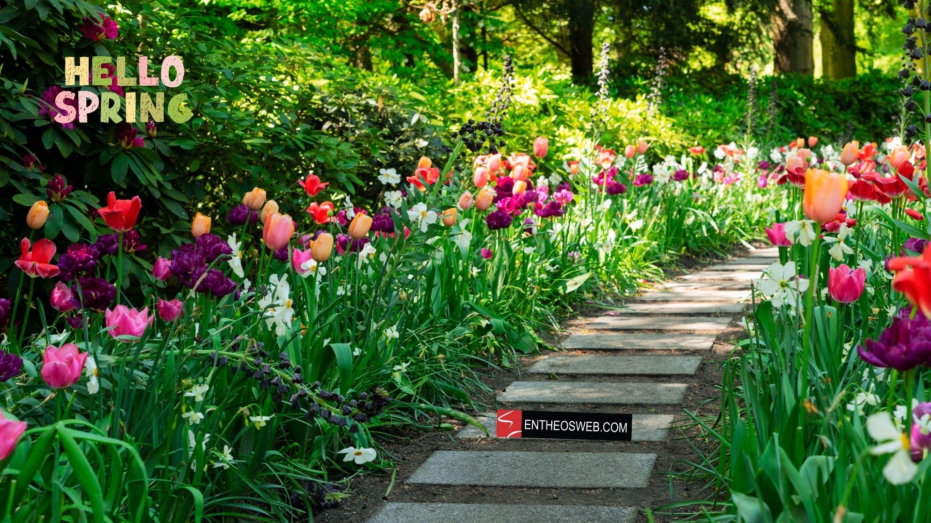 Hello Spring PC Wallpapers - Wallpaper Cave