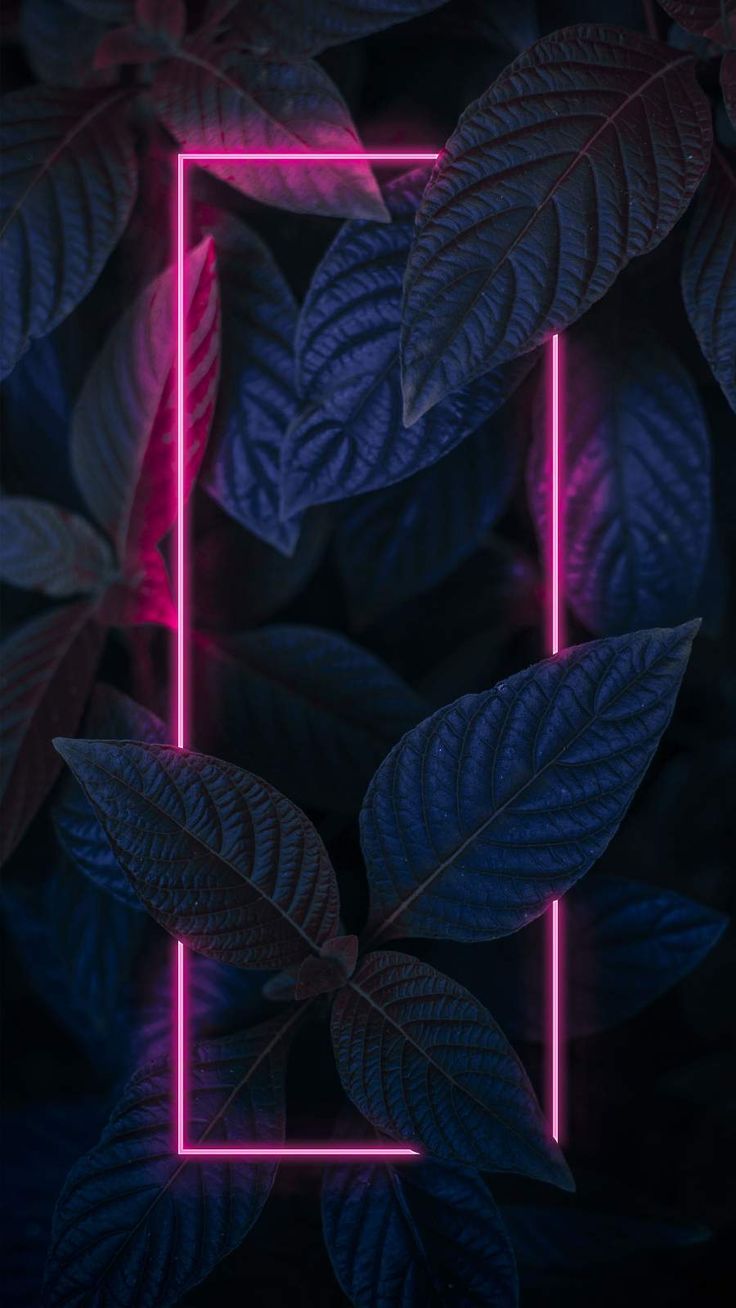 Neon iPhone 12 Wallpapers - Wallpaper Cave