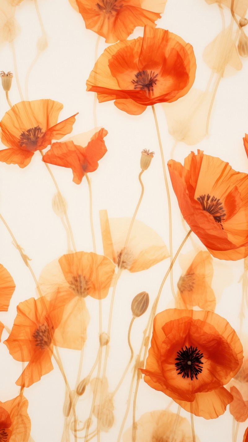 Orange Aesthetic Phone Wallpapers - Wallpaper Cave