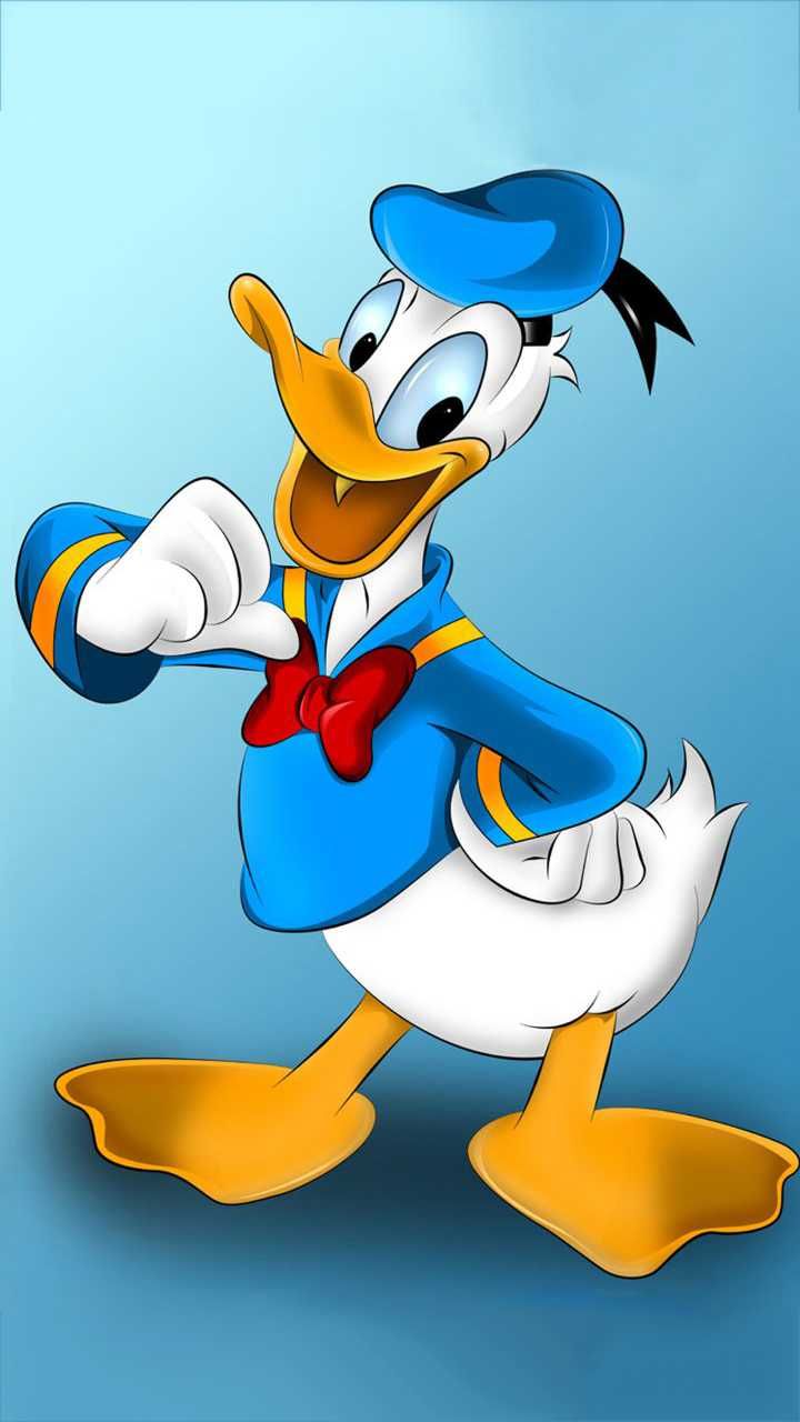 Donald Duck Wallpaper For Phones Donald Duck, Funny, HD Wallpaper