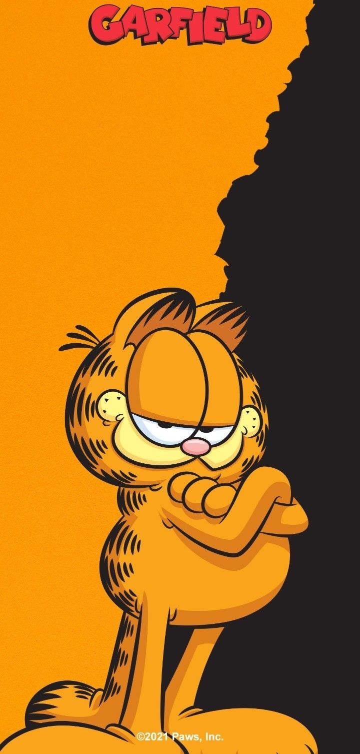 Garfield Wallpapers Backgrounds Garfield Wallpaper HD Free Download