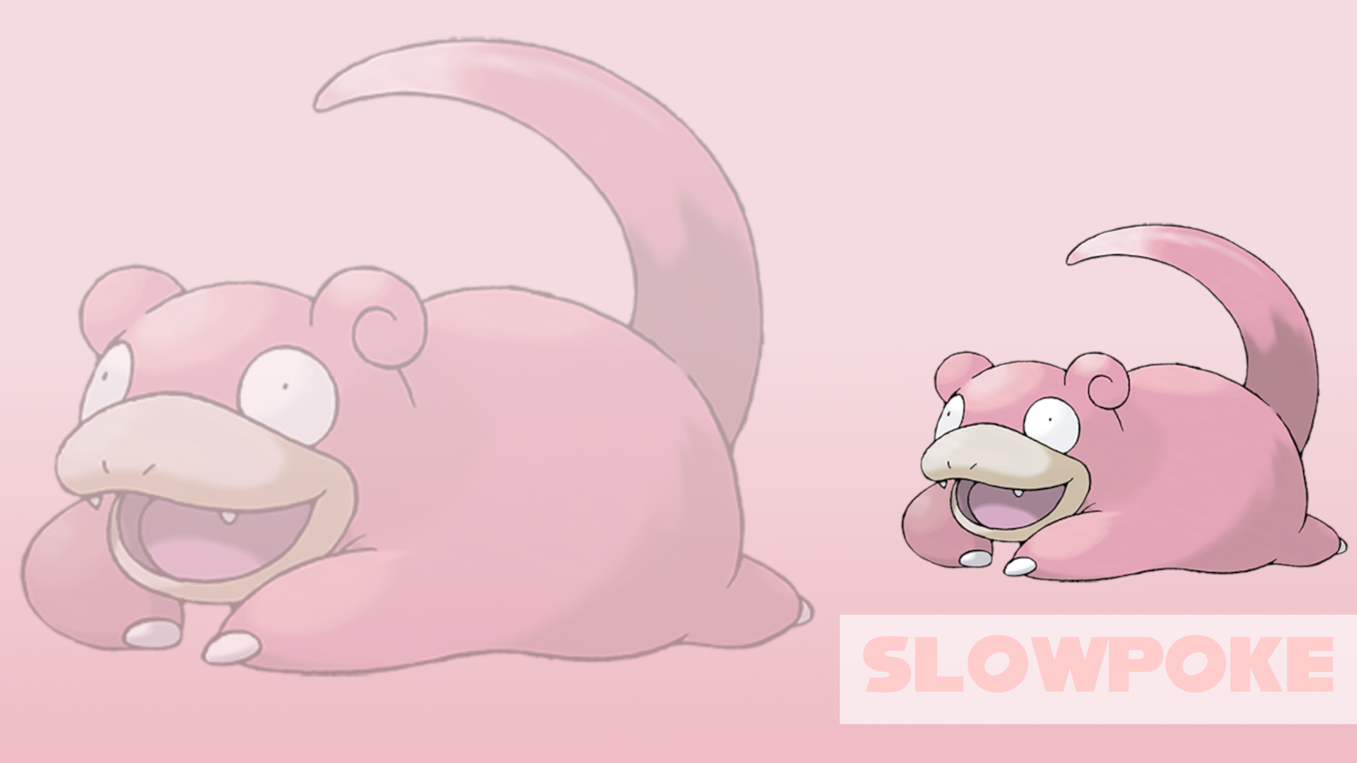 Slowpoke Wallpapers - Wallpaper Cave