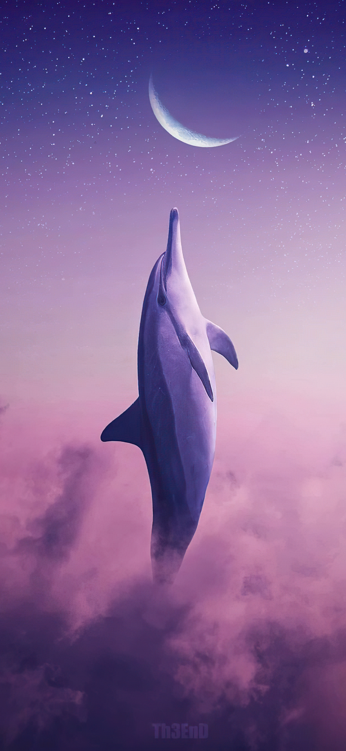 iPhone Dolphin Wallpapers - Wallpaper Cave