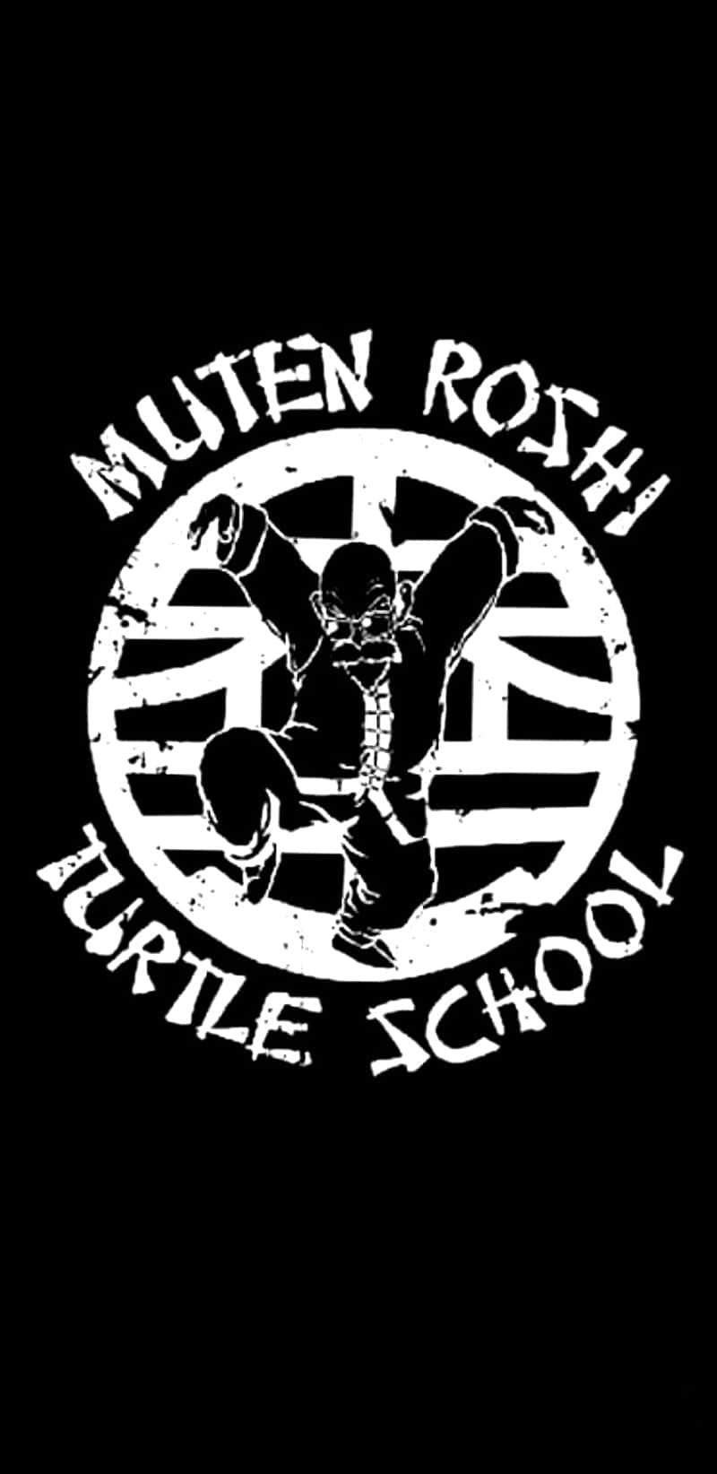 Turtle Hermit Wallpapers - Wallpaper Cave