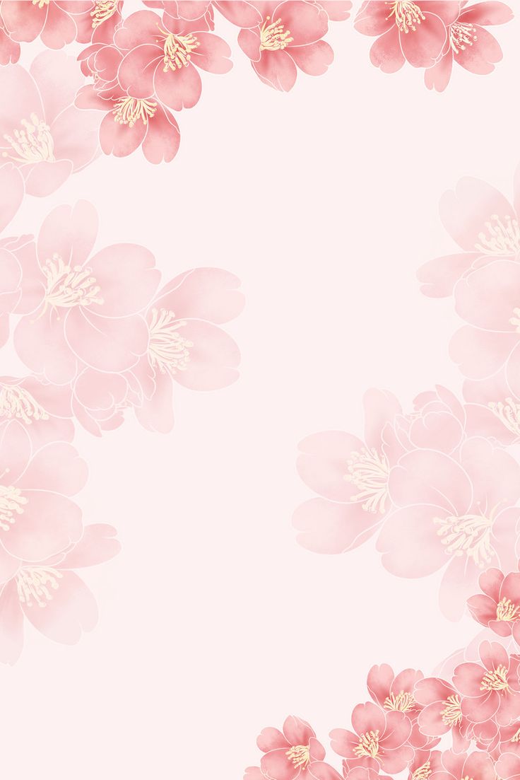 Light Pink Flowers Spring Wallpapers - Wallpaper Cave
