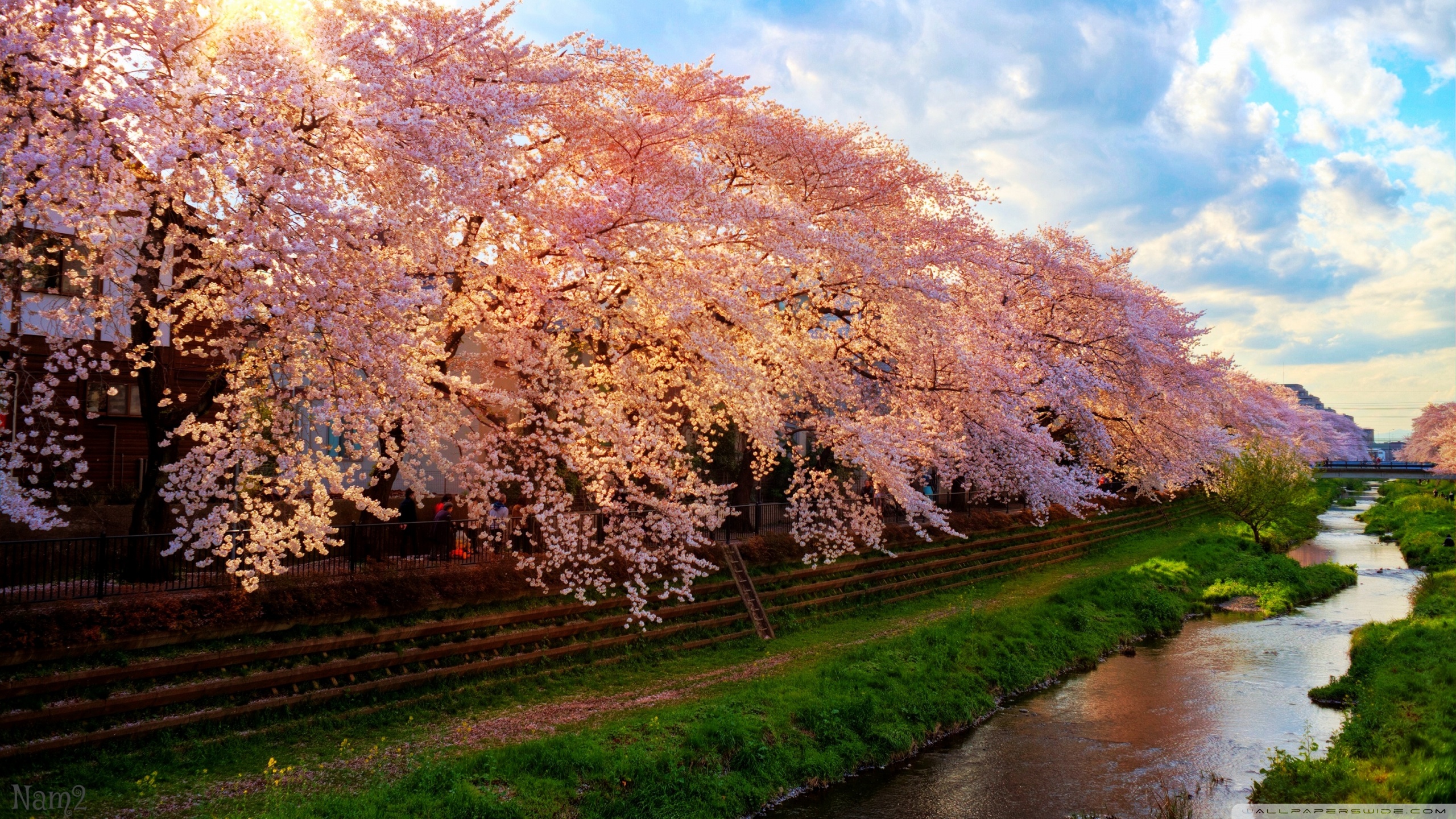 4k Spring Japan Wallpapers - Wallpaper Cave