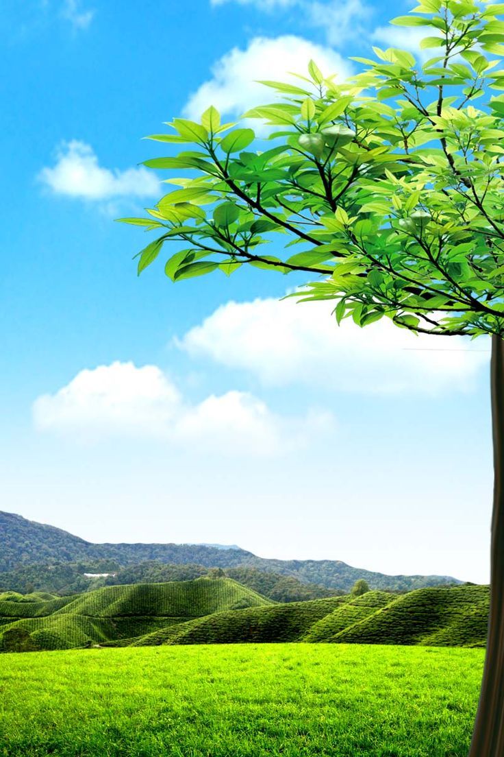 Phone Scenary Wallpapers - Wallpaper Cave