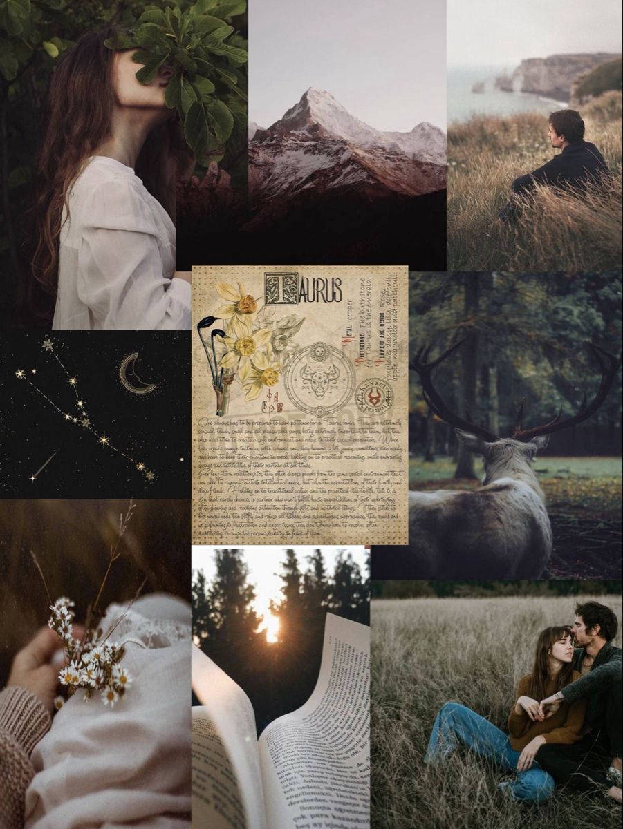 Taurus Collage Wallpapers - Wallpaper Cave