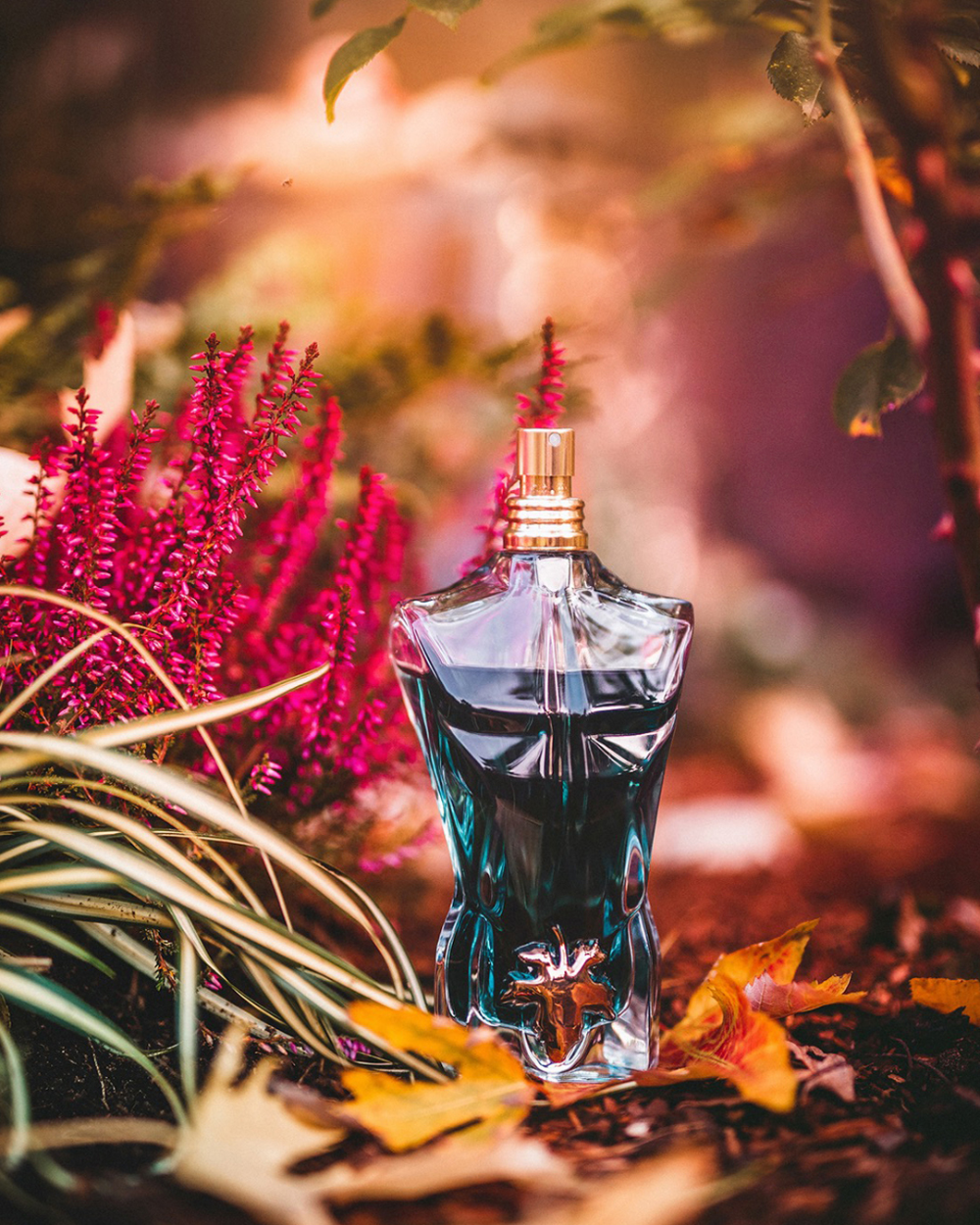 Jean Paul Cologne Wallpapers - Wallpaper Cave