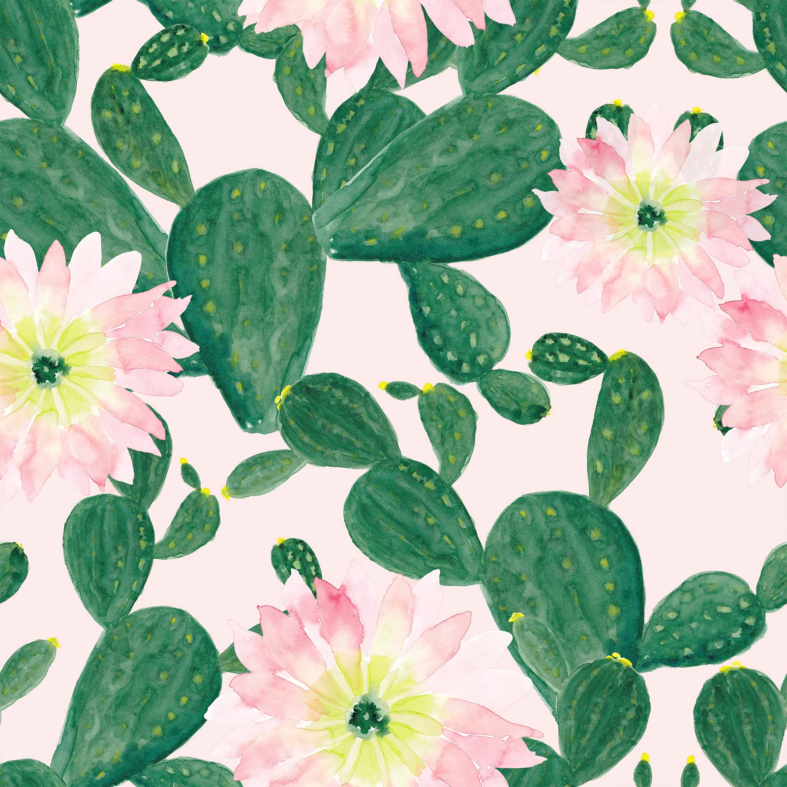 Cactus Spring Wallpapers - Wallpaper Cave