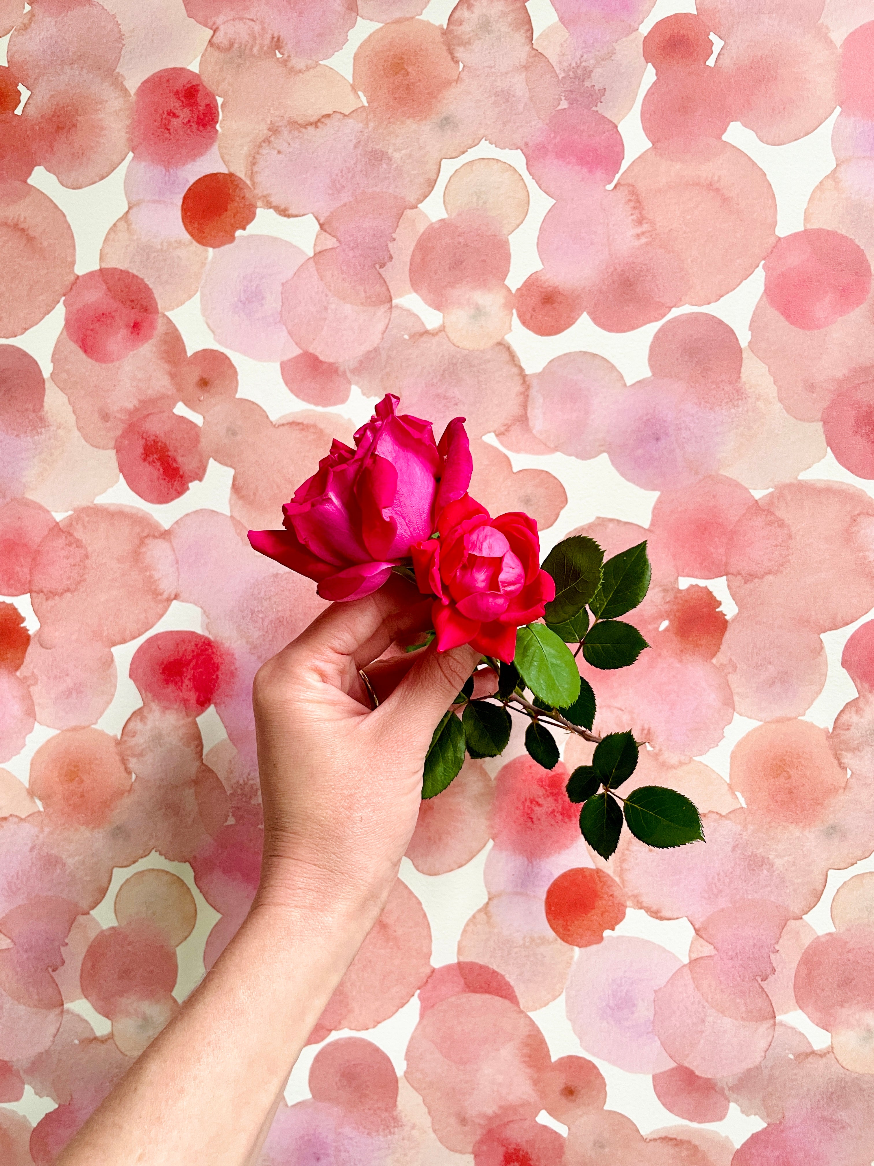 Color Spring Wallpapers - Wallpaper Cave