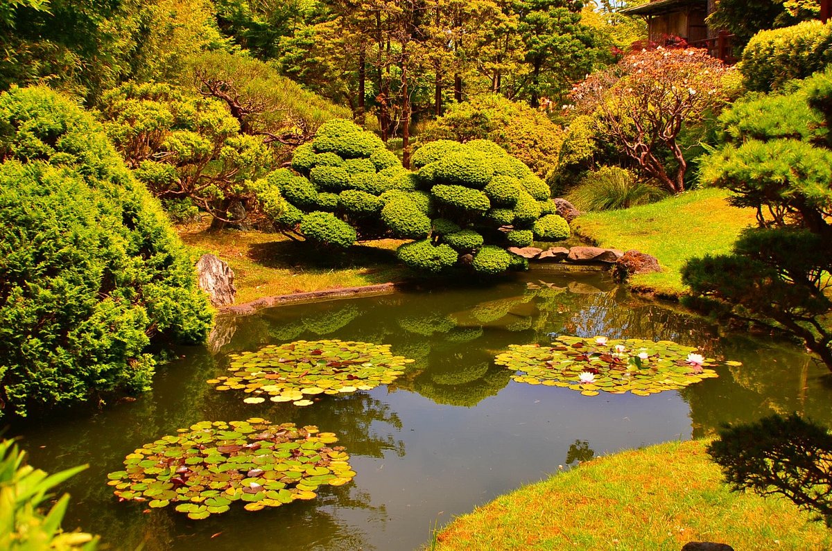 Spring Japan Tea Garden Wallpapers - Wallpaper Cave