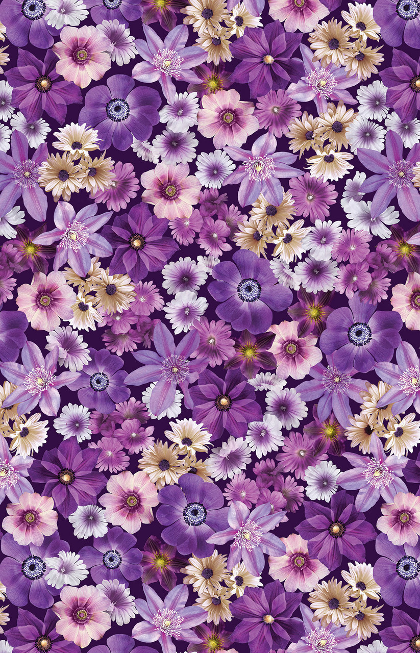 Spring Flowers Purple Wallpapers - Wallpaper Cave
