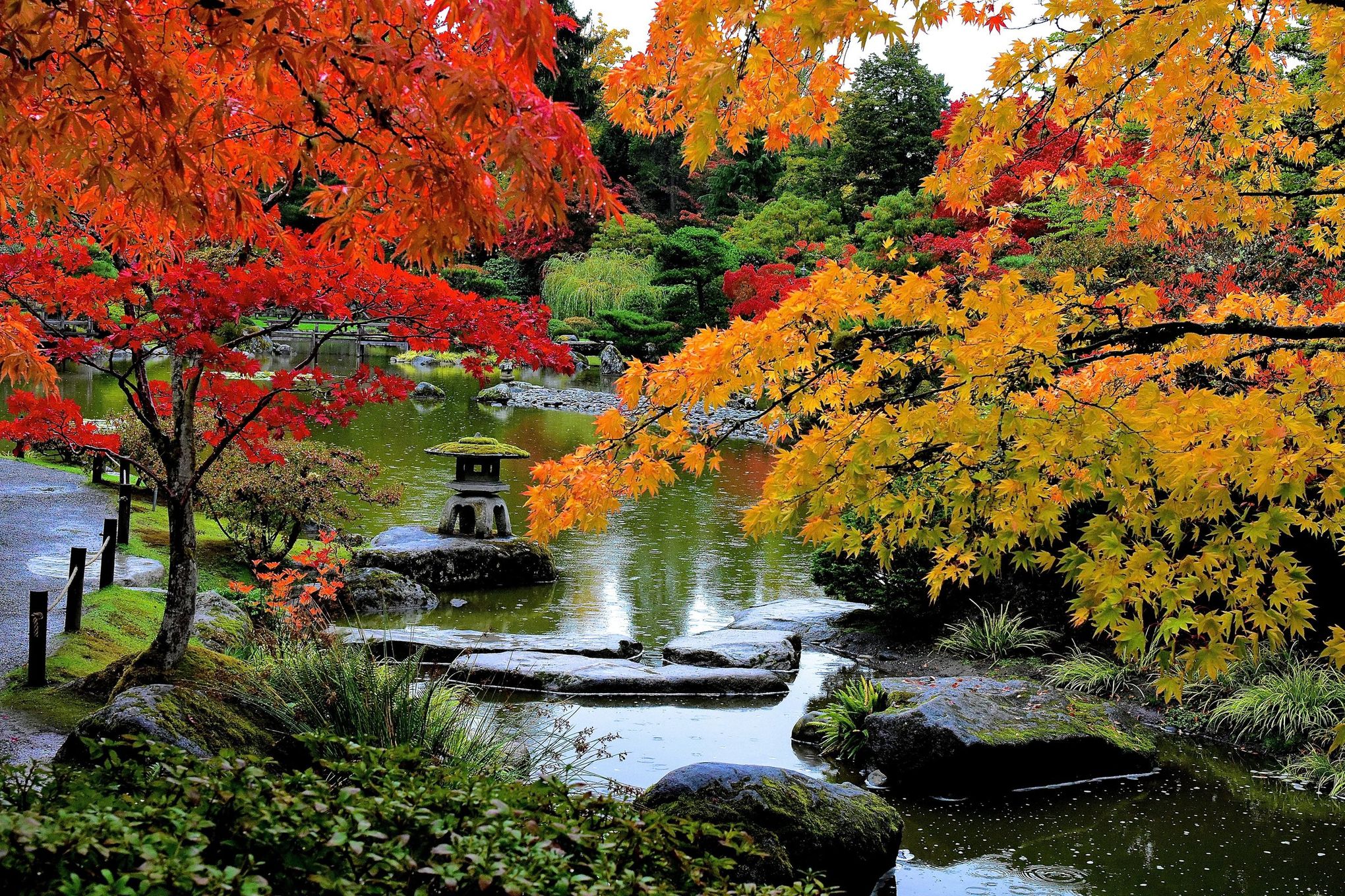 Spring Japan Tea Garden Wallpapers - Wallpaper Cave