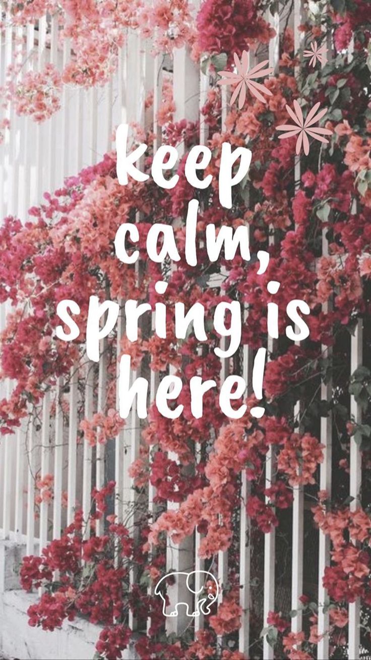 Keep Calm Spring Wallpapers - Wallpaper Cave