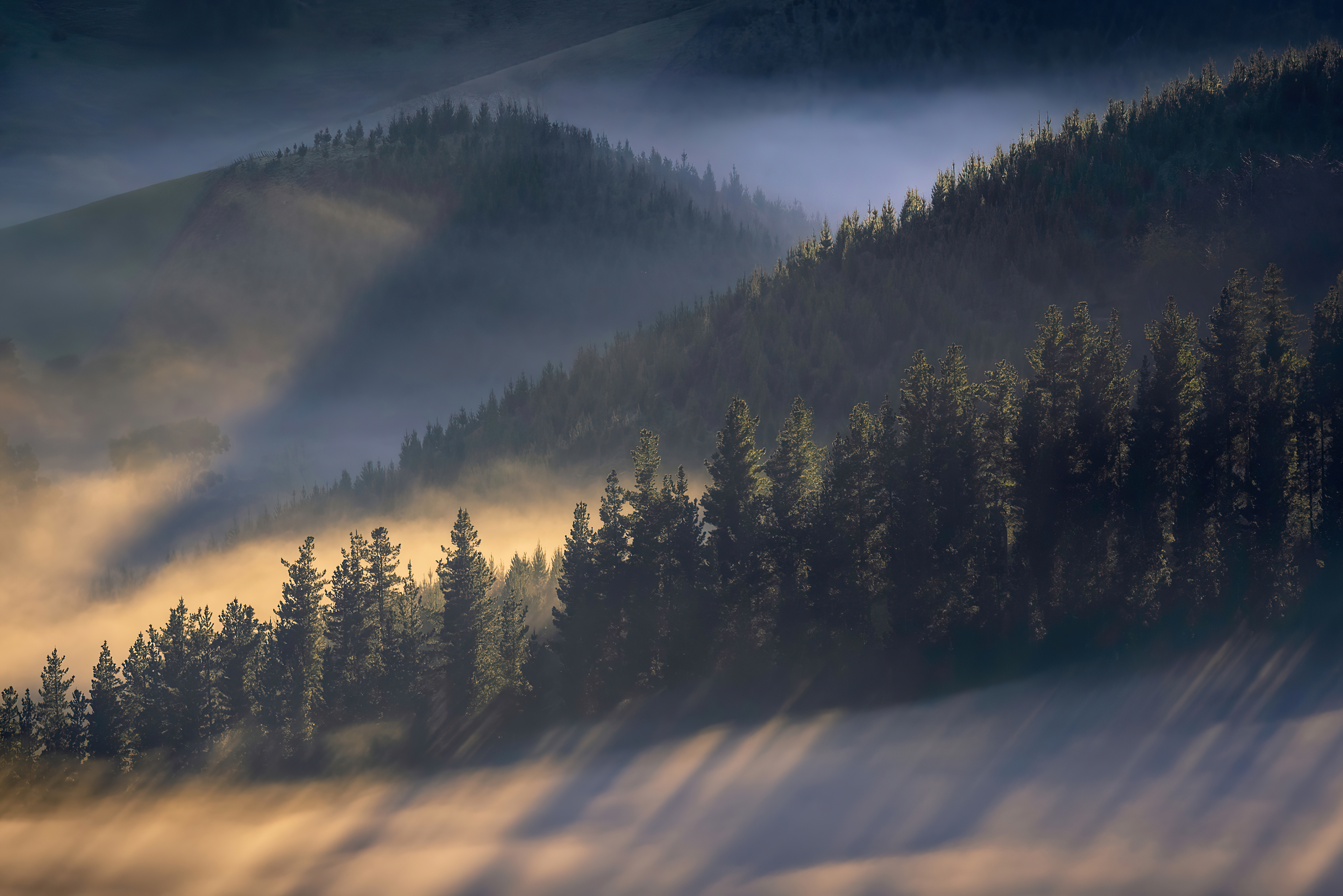 Morning Sun 4k Wallpapers - Wallpaper Cave