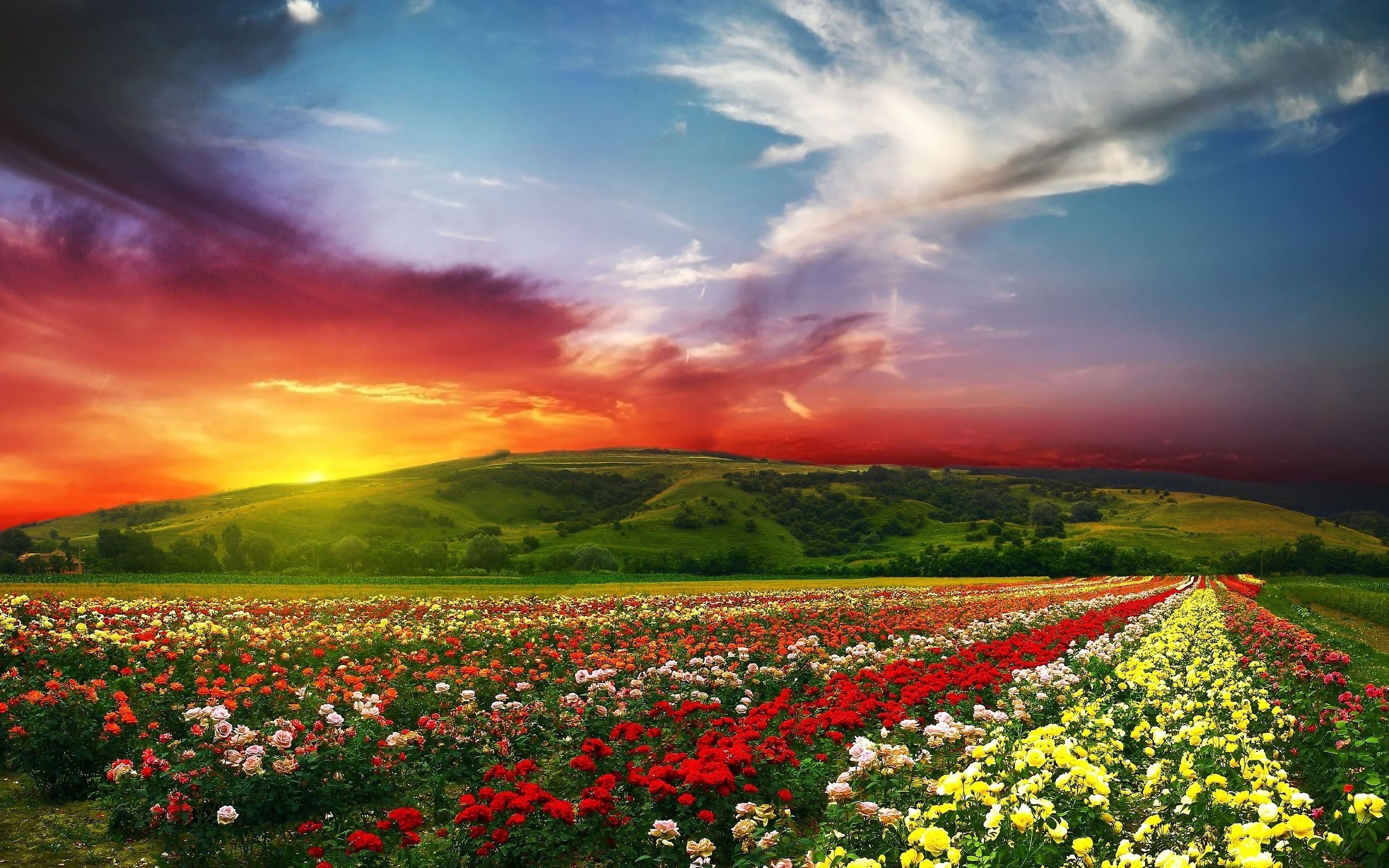 Spring Landscape 4k Wallpapers - Wallpaper Cave