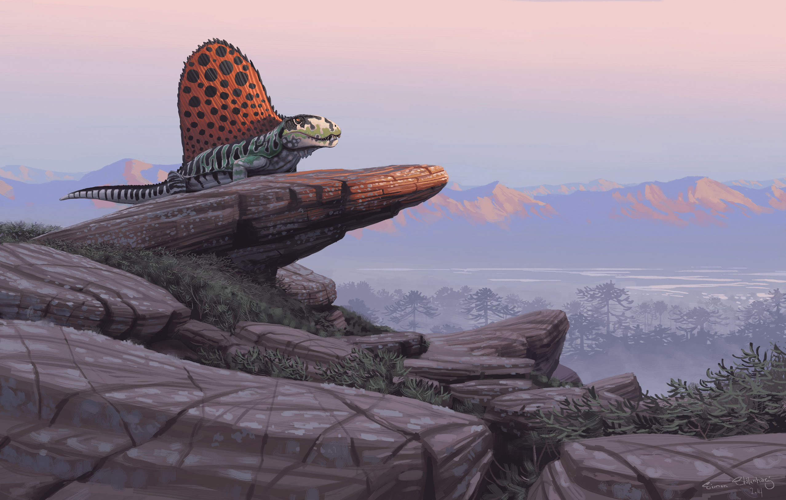 Paleoart Wallpapers - Wallpaper Cave