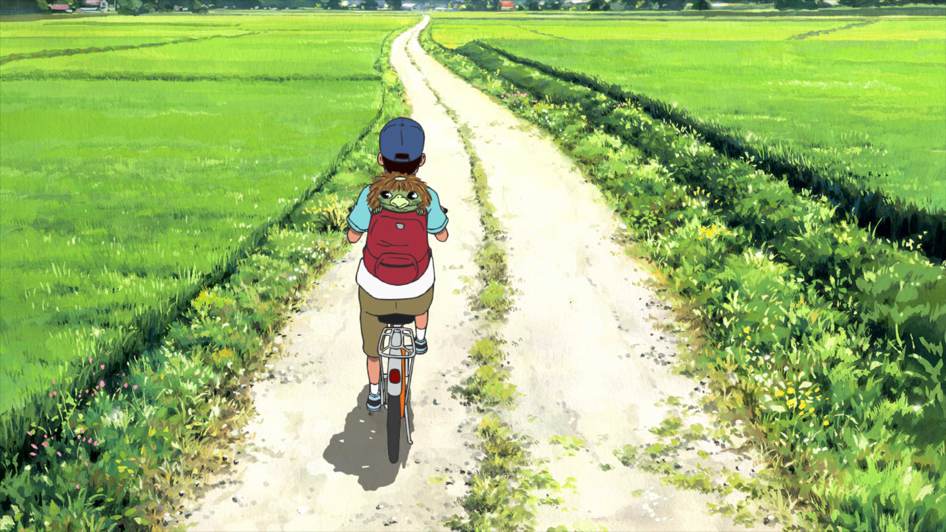 Summer Days With Coo Wallpapers - Wallpaper Cave