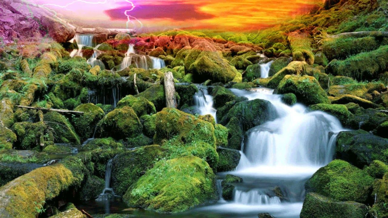 Green Animated Wallpapers - Wallpaper Cave