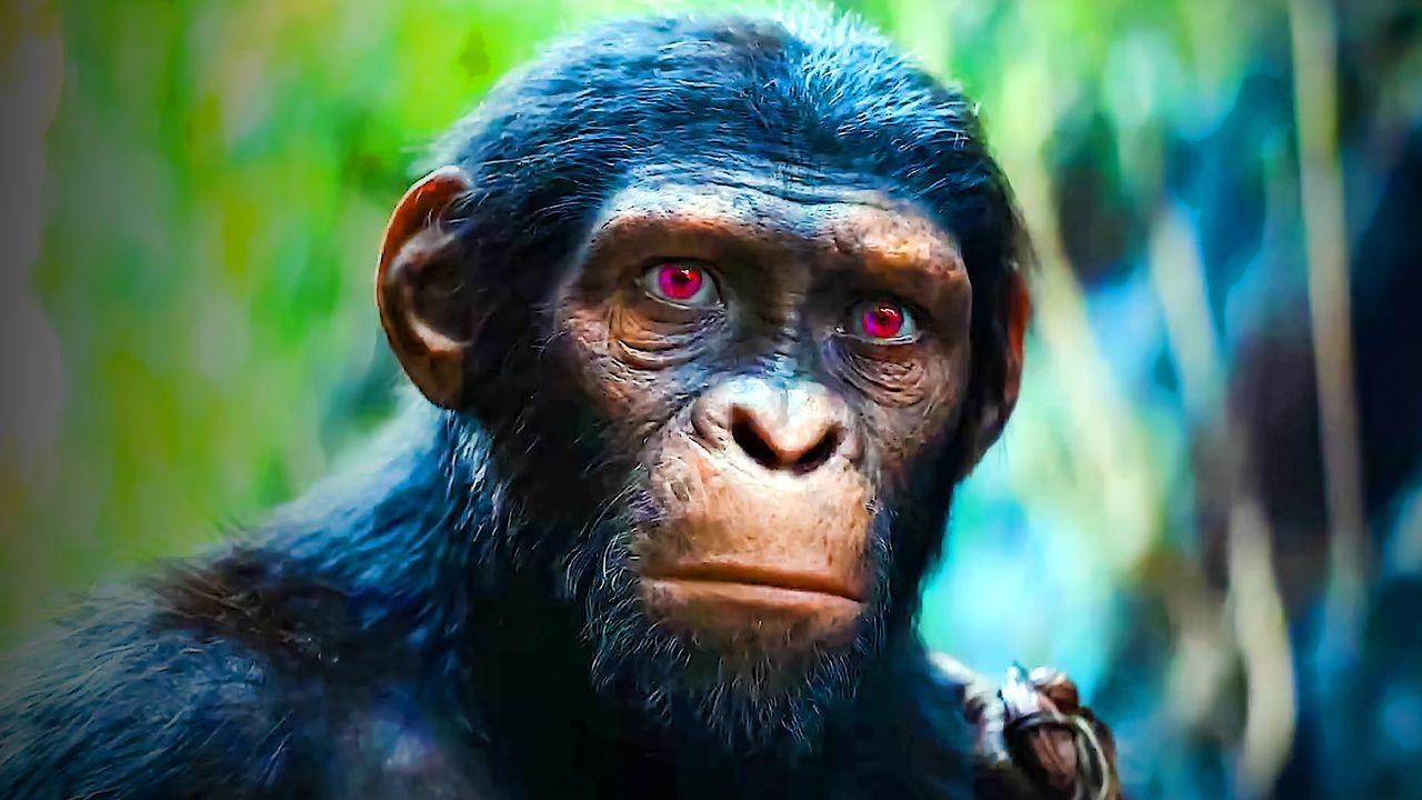 Kingdom Of The Planet Of The Apes 2024 Movie Wallpapers - Wallpaper Cave