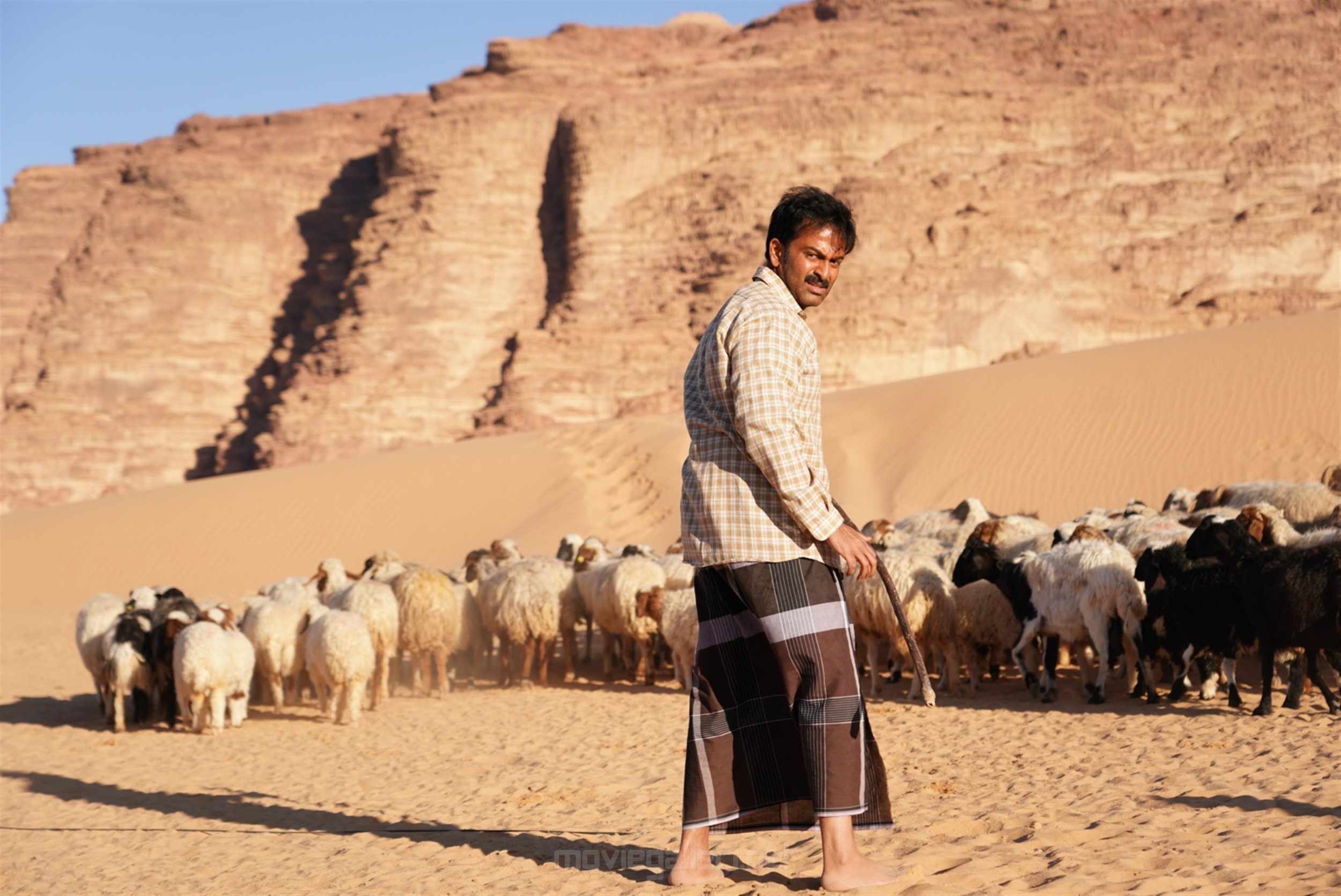 Aadujeevitham Wallpapers - Wallpaper Cave