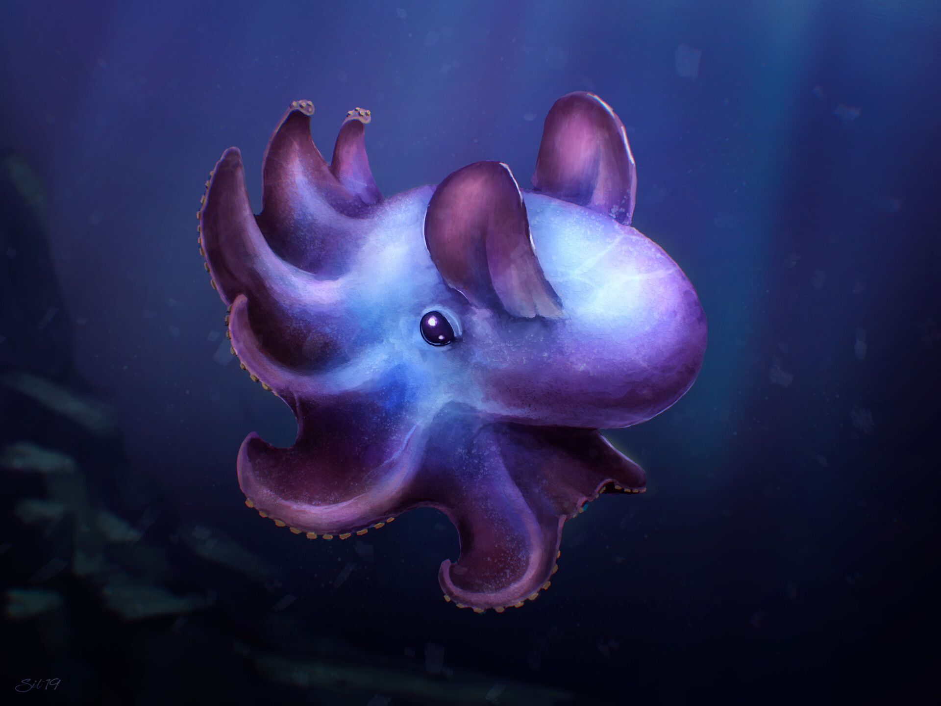 Dumbo Octopus Wallpapers - Wallpaper Cave