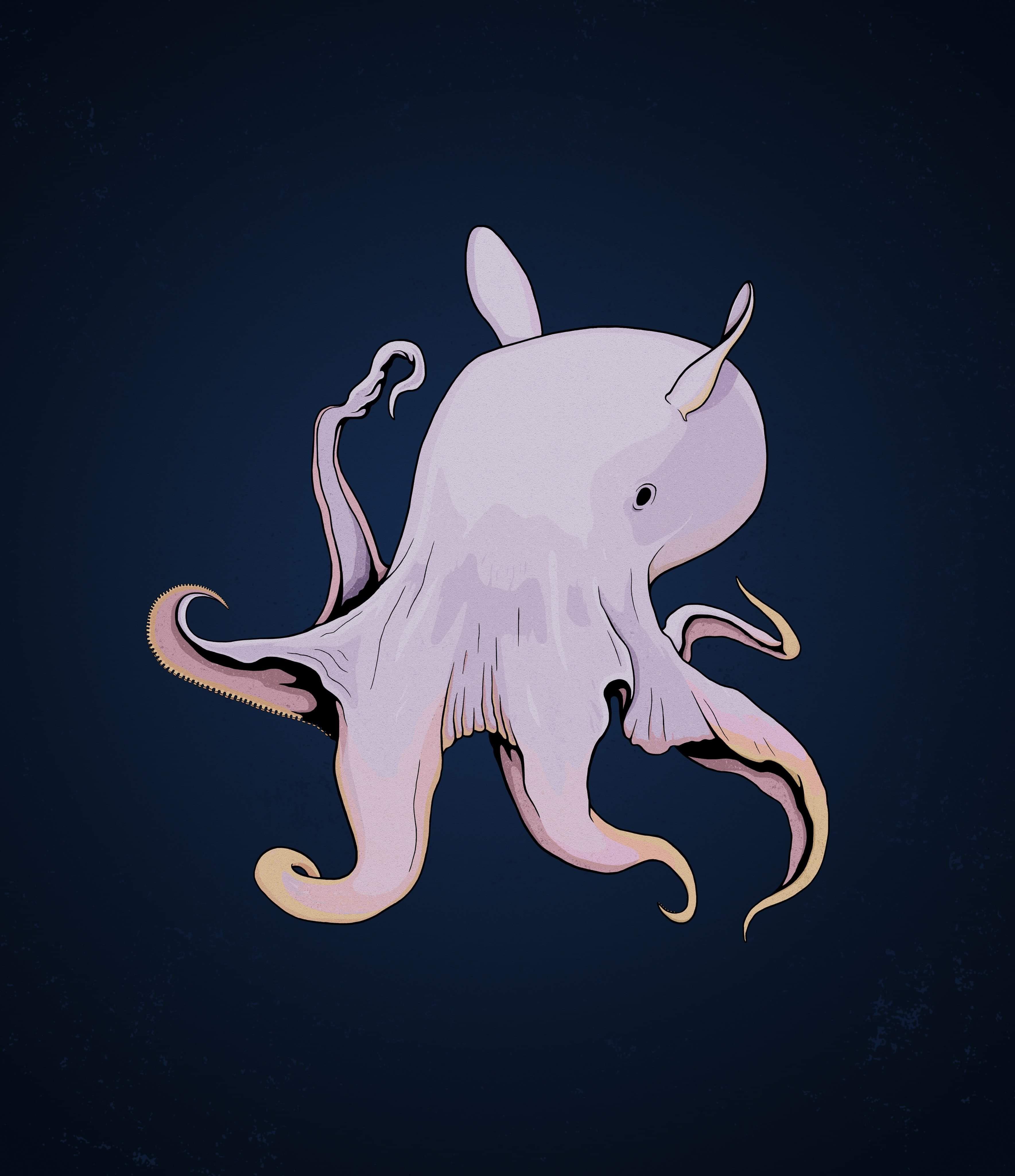 Dumbo Octopus Wallpapers - Wallpaper Cave