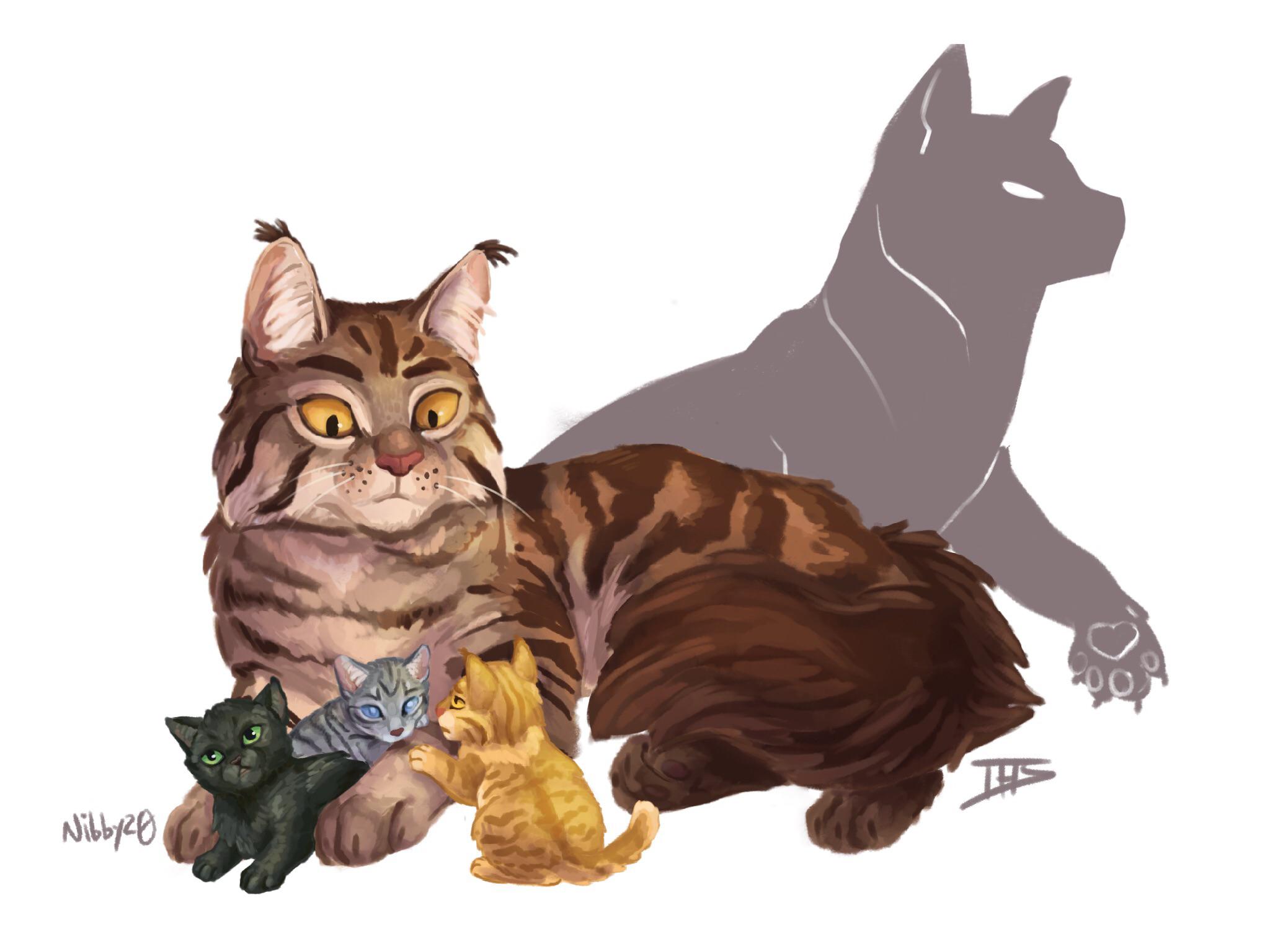 Brambleclaw Wallpapers - Wallpaper Cave