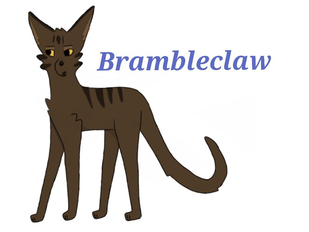 Brambleclaw Wallpapers - Wallpaper Cave
