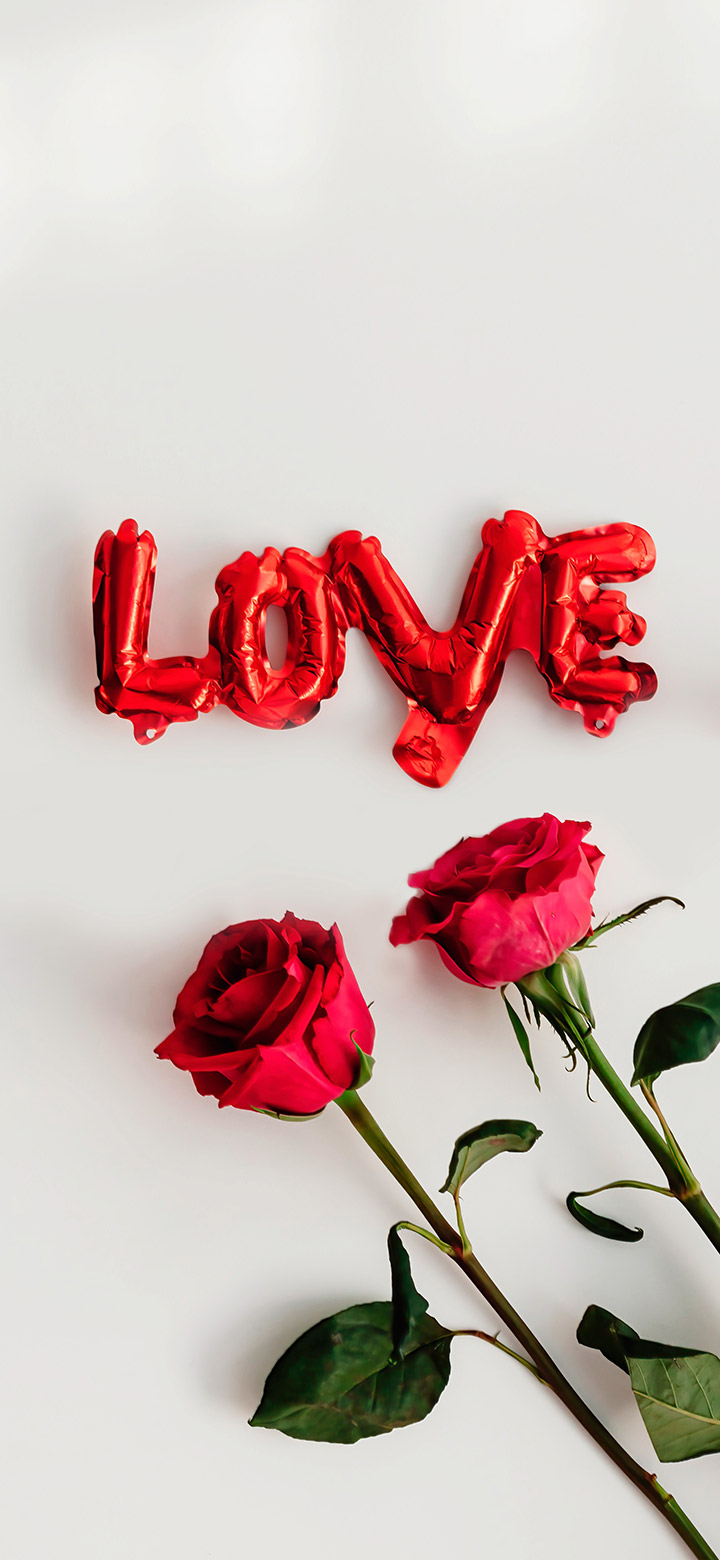 4k Phone Rose Wallpapers - Wallpaper Cave