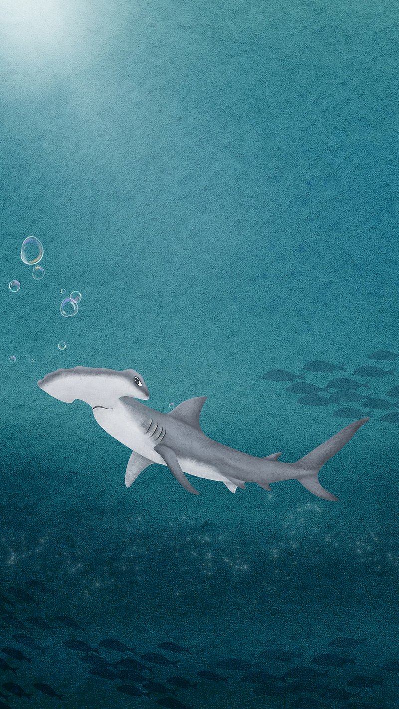 Shark Aesthetic Wallpapers - Wallpaper Cave
