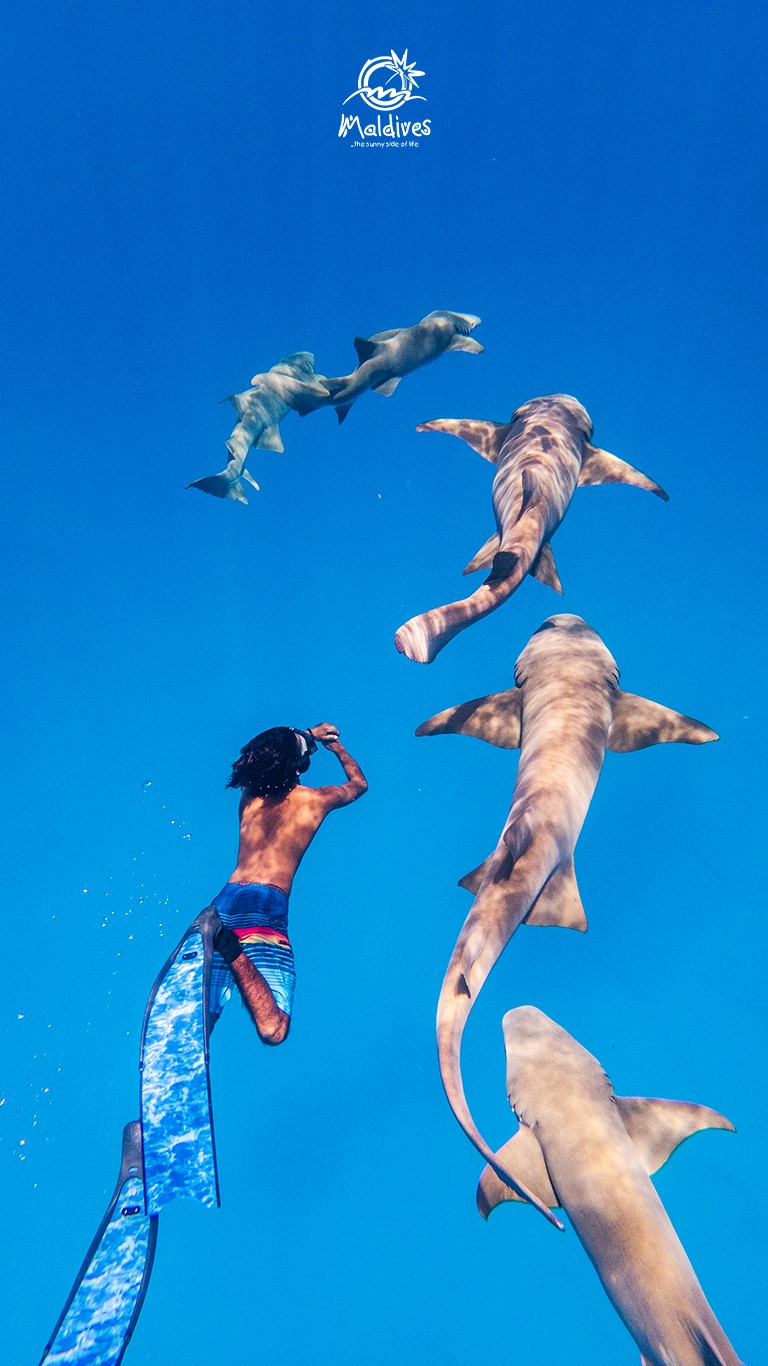 Snorkeling Wallpapers - Wallpaper Cave