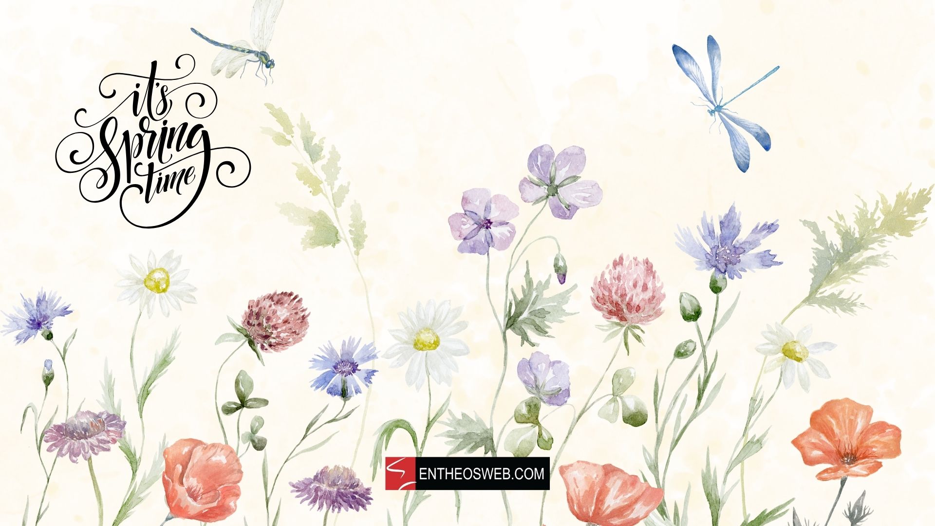 Spring Flower Laptop Wallpapers - Wallpaper Cave