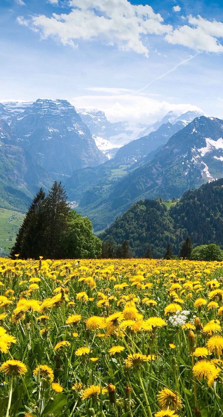 Spring Mountain iPhone Wallpapers - Wallpaper Cave