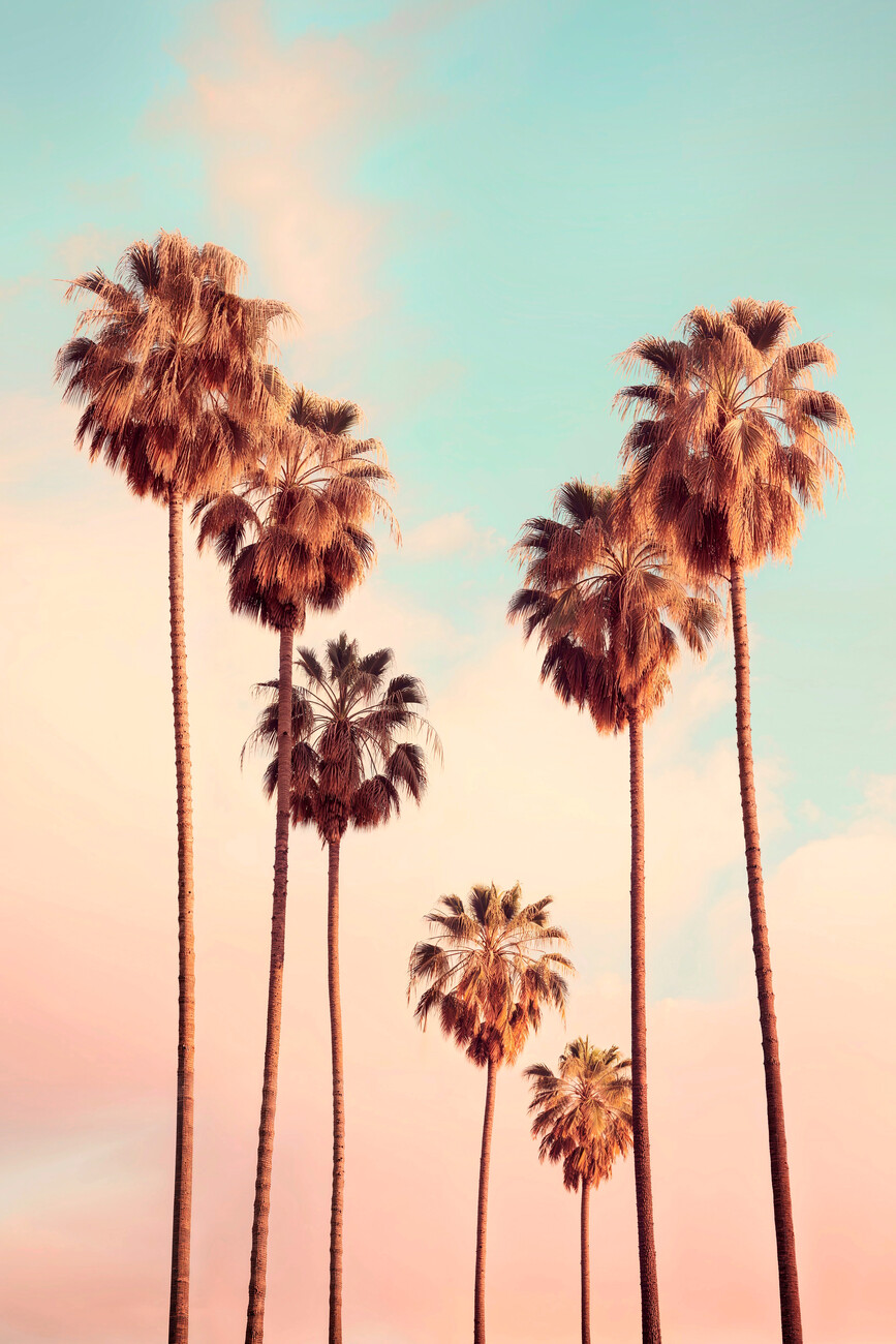 California Summer iPhone Wallpapers - Wallpaper Cave